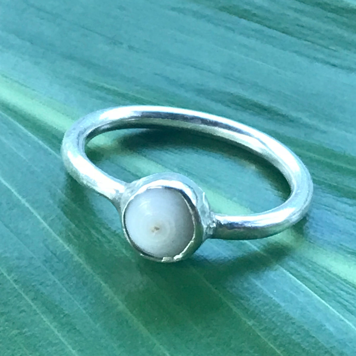 PUKA SHELL RING – Pedramar Jewelry